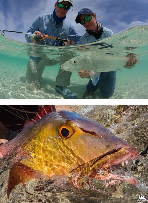 Keep Fish Wet Organization – Fish Photography 101 | Custom Fly Rod ...