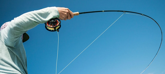 New Addition to our Saltwater Blanks Category | Custom Fly Rod Crafters ...